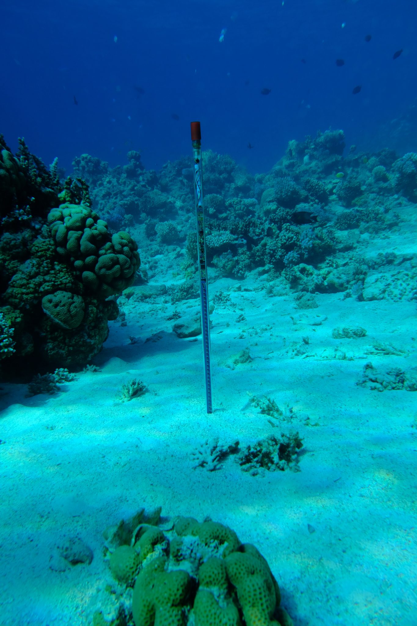 SediMeter™ SM4 Sediment Sensor & SediSond - Lindorm, Inc.